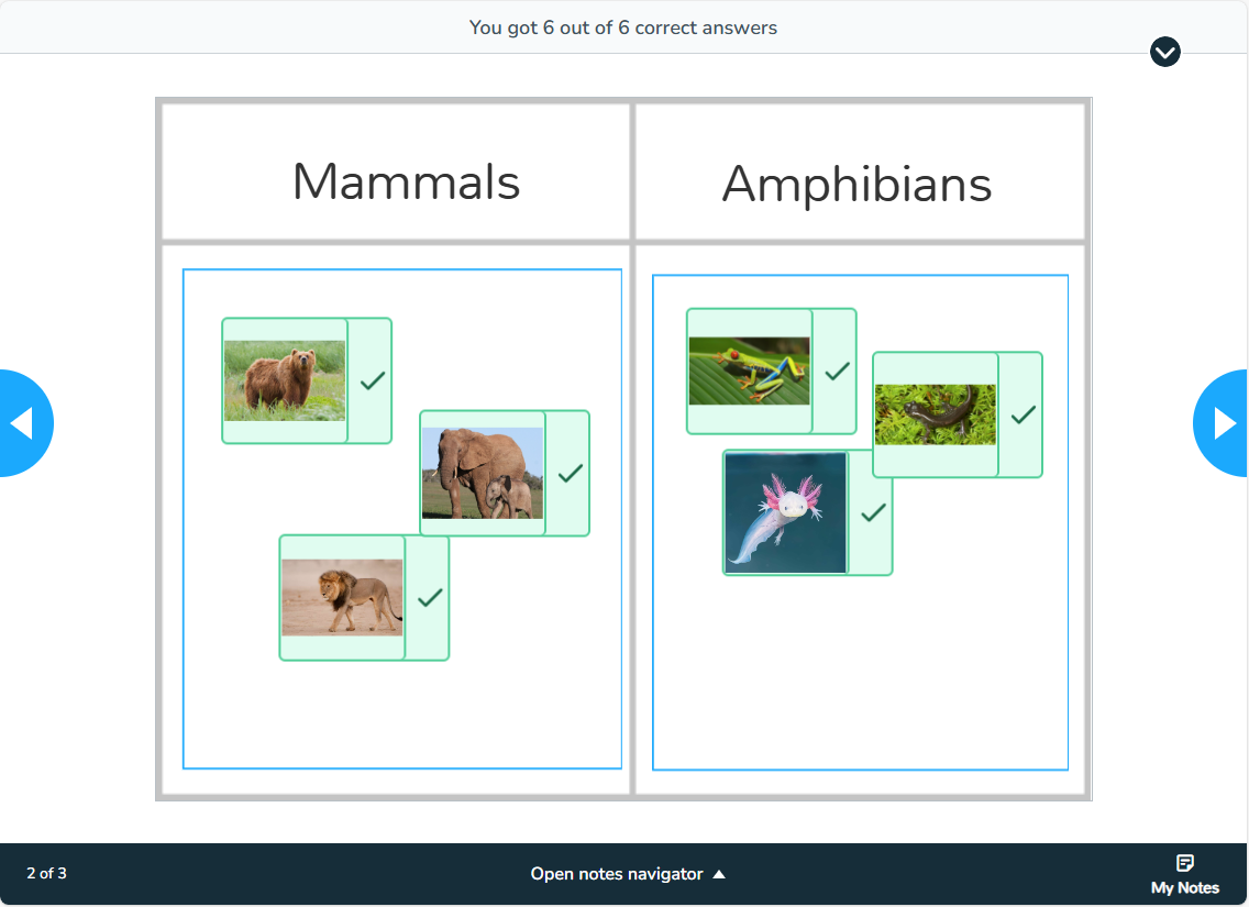 Use Drag & Drop during a Nearpod lesson