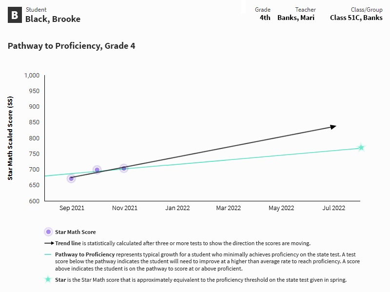 Star State Performance - Student Report