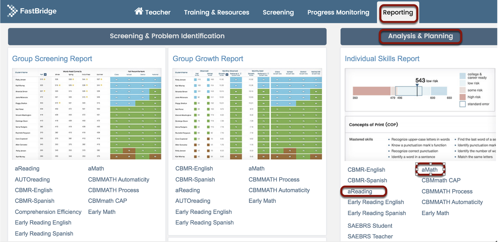 Individual Skills Report - aReading and aMath